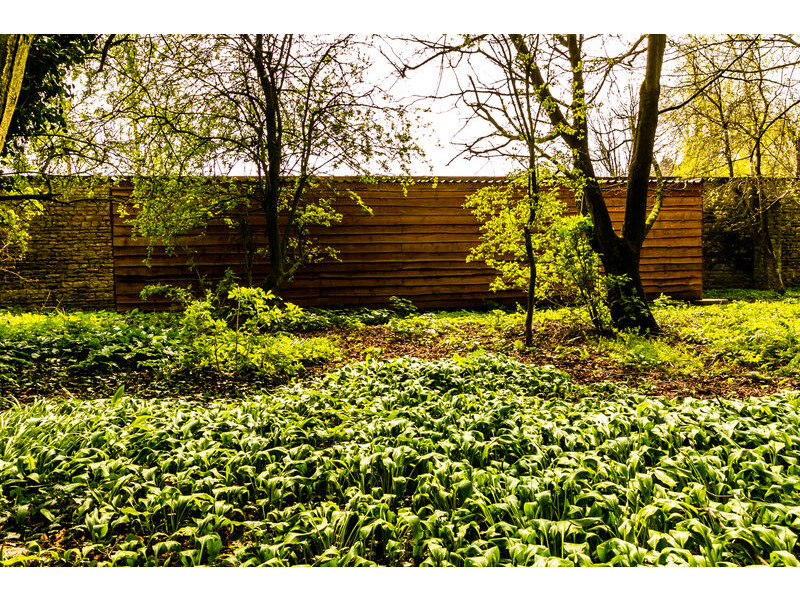 Shipping Container Conversions 40ft with Waney Edge cladding CS39964 ...